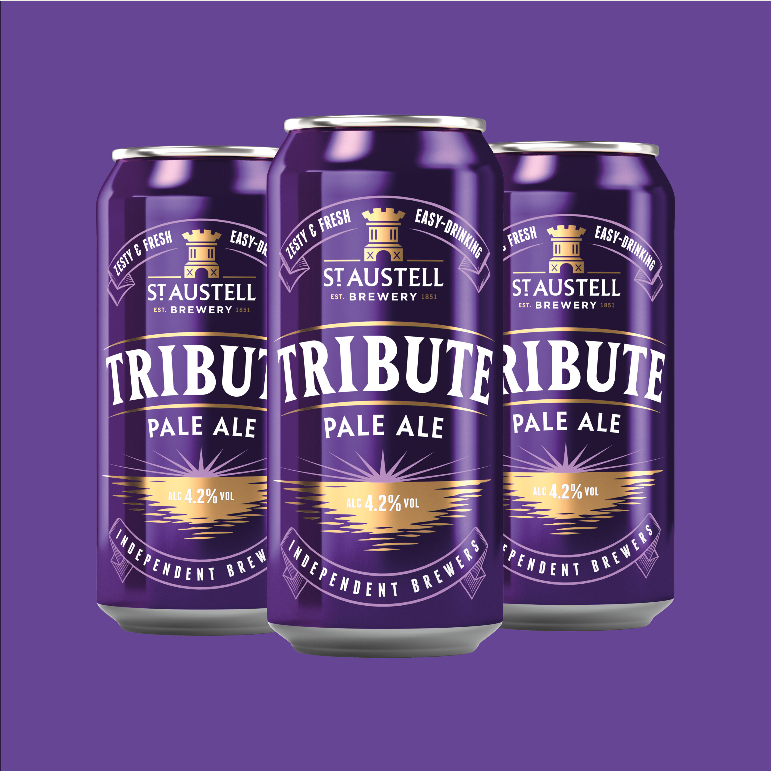 Shop Tribute Pale Ale: 24x500ml can pack