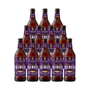 Buy Big Job Ale Pack of 12 Bottles, from St Austell Brewery